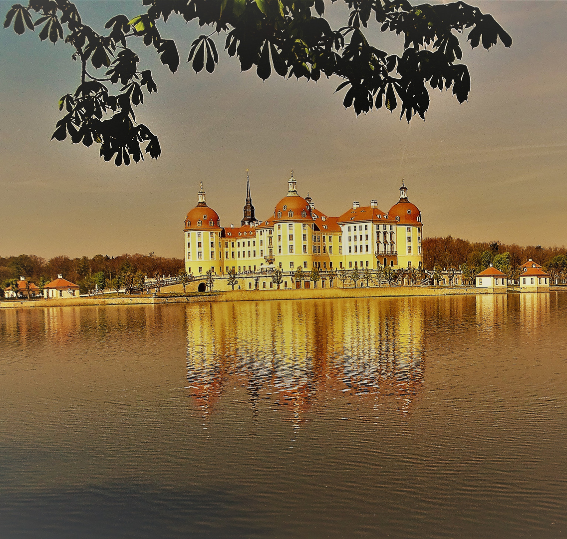 Schloß Moritzburg (Sachsen) Foto & Bild | deutschland, europe, sachsen ...