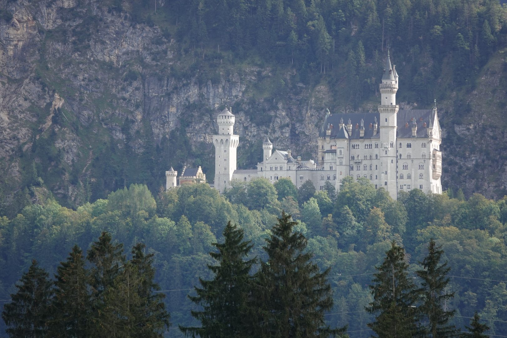 Schloss Neuschwanstein vom Forggensee Foto & Bild | world, regen ...