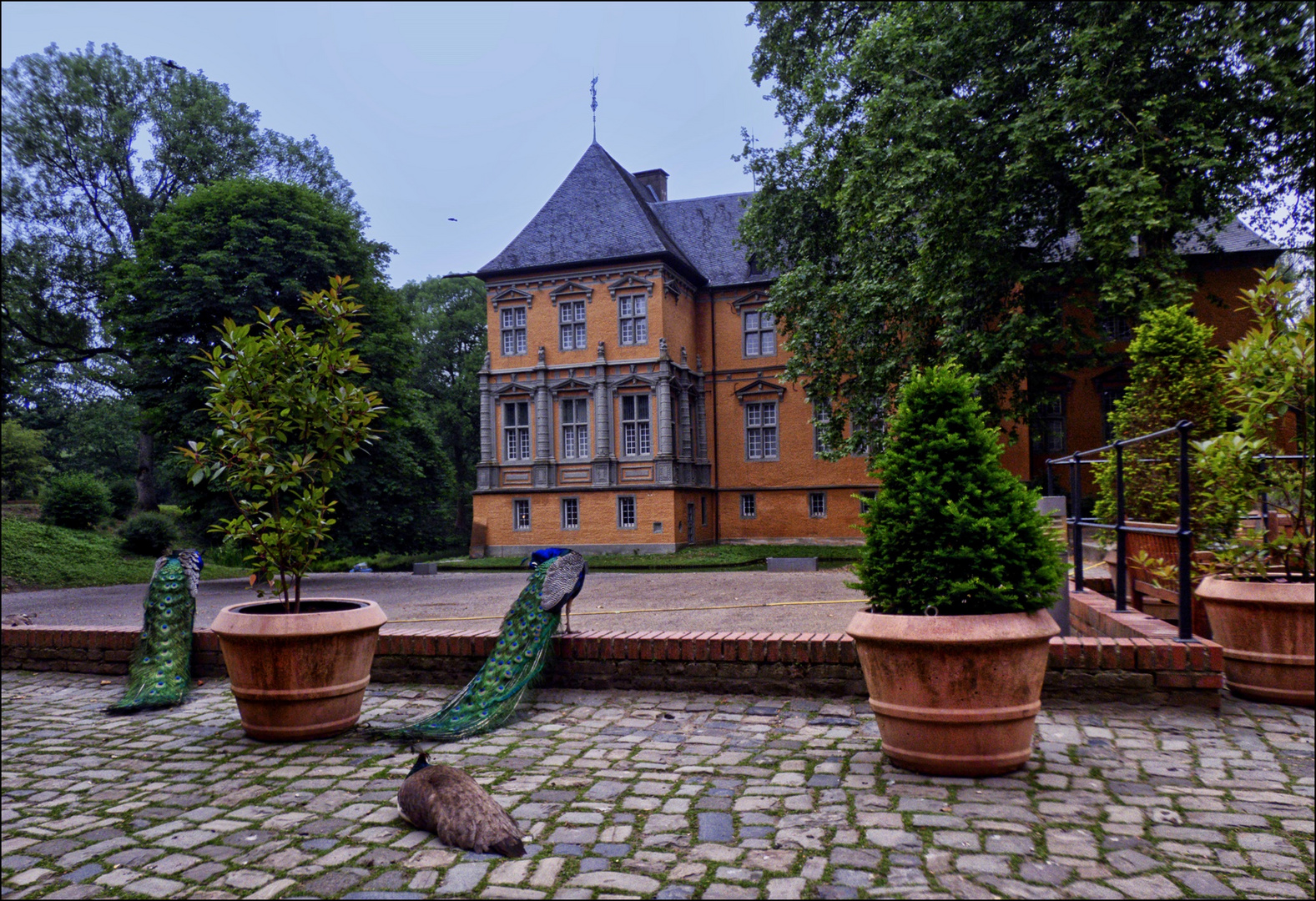 Schloss Rheydt Foto & Bild | architektur, motive, schloss rheydt Bilder ...