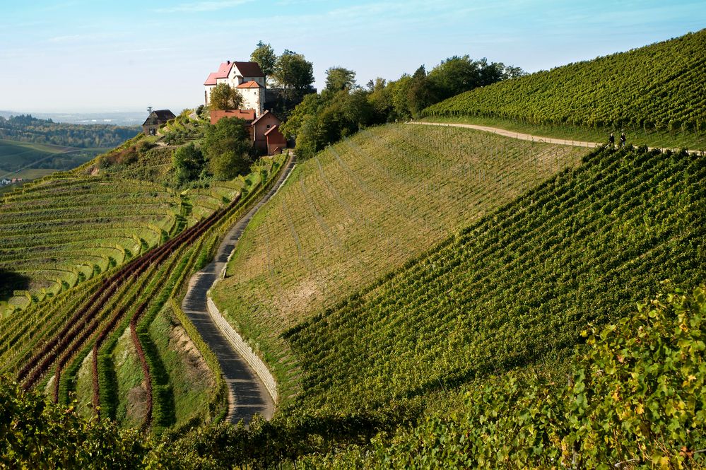 Schloss Staufenberg Foto & Bild | jahreszeiten, sommer, landschaften ...