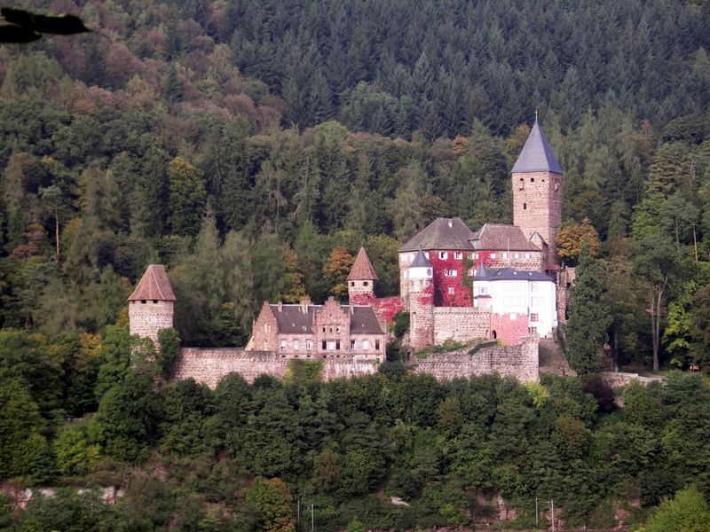 Schloss Zwingenberg am Neckar Foto & Bild | landschaft, natur Bilder ...