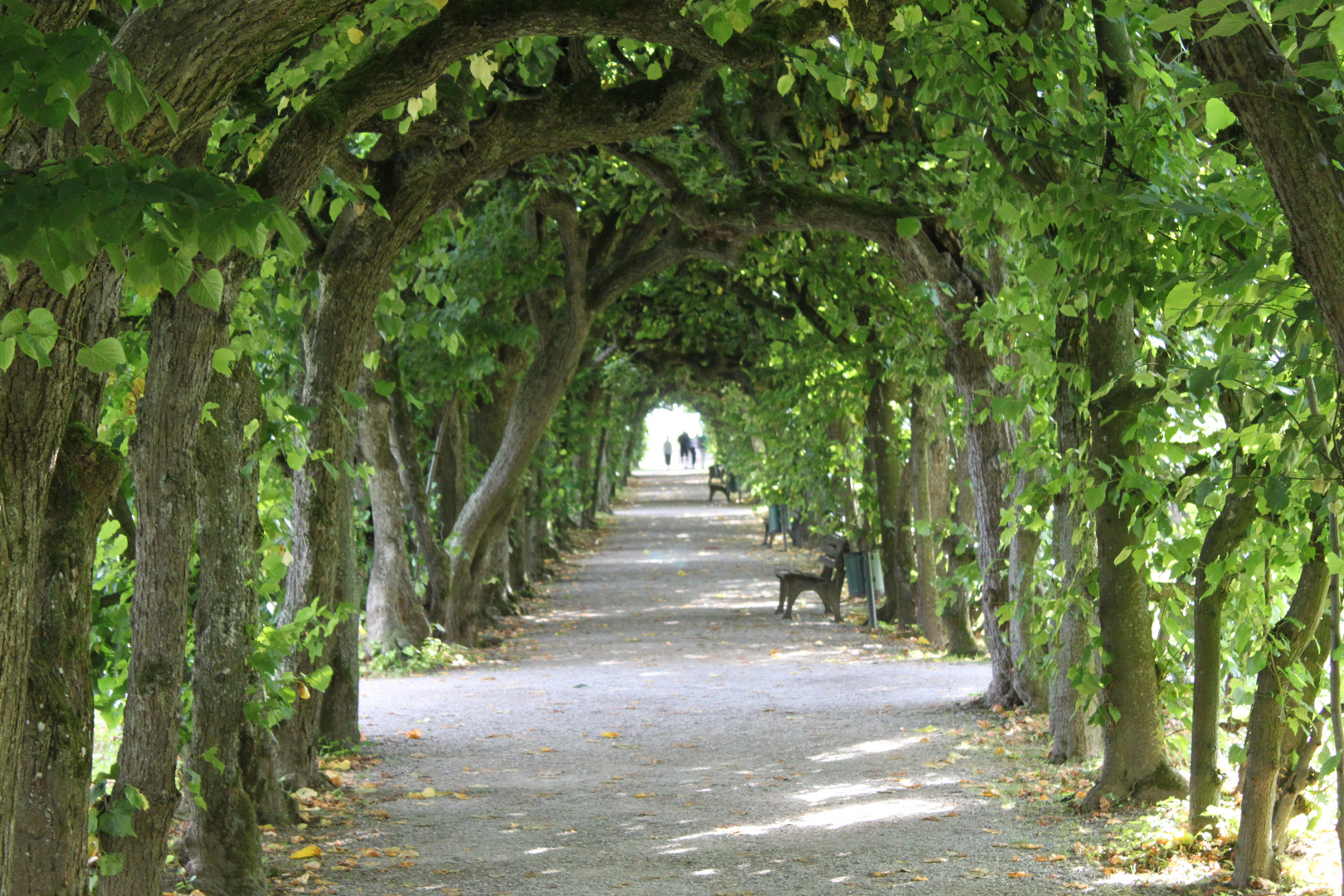 Schlossgarten Foto & Bild | deutschland, europe, bayern Bilder auf ...