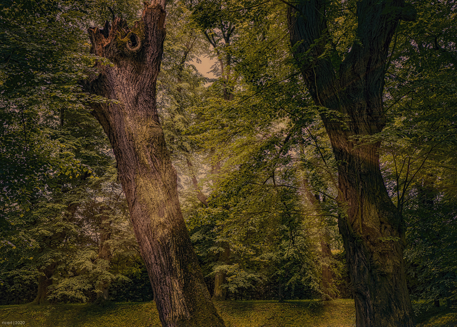 Schlossgarten Czesky Krumlov Foto & Bild | park, world, bäume Bilder ...