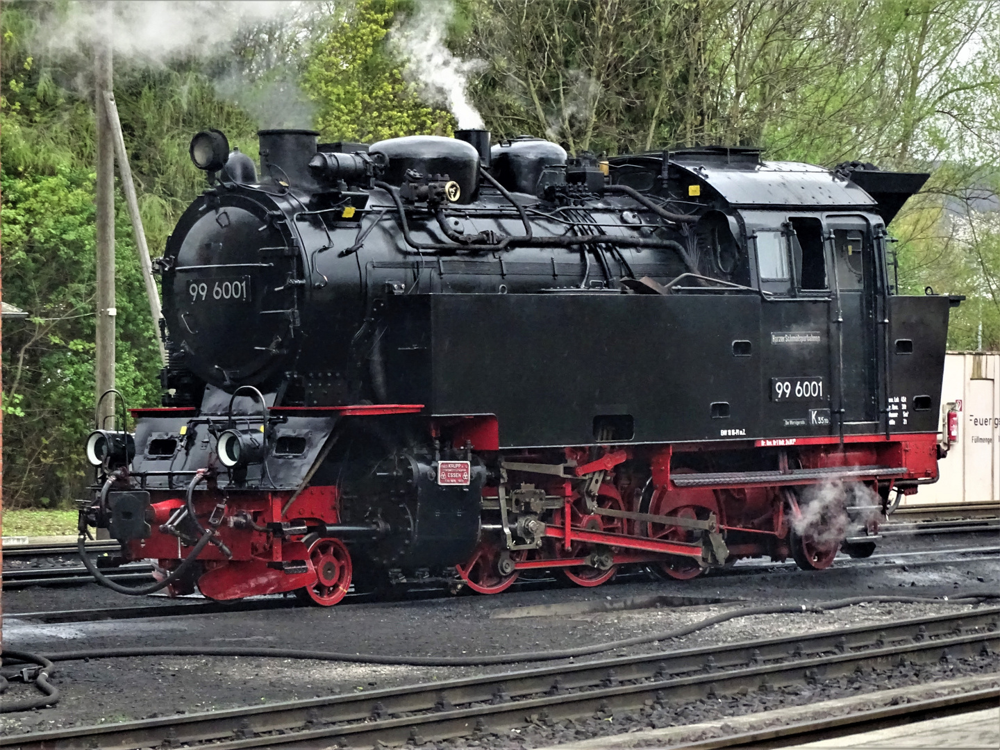 Schmalspurlok BR 99 6001 Foto & Bild | deutschland, eisenbahn, harz ...