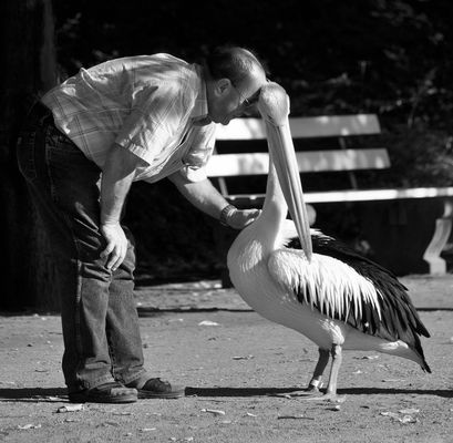 Joew - Fotos & Bilder - Fotograf aus Berlin, Deutschland | fotocommunity