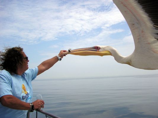 Christian Neumeyer - Fotos & Bilder - Fotograf aus Friedberg ...