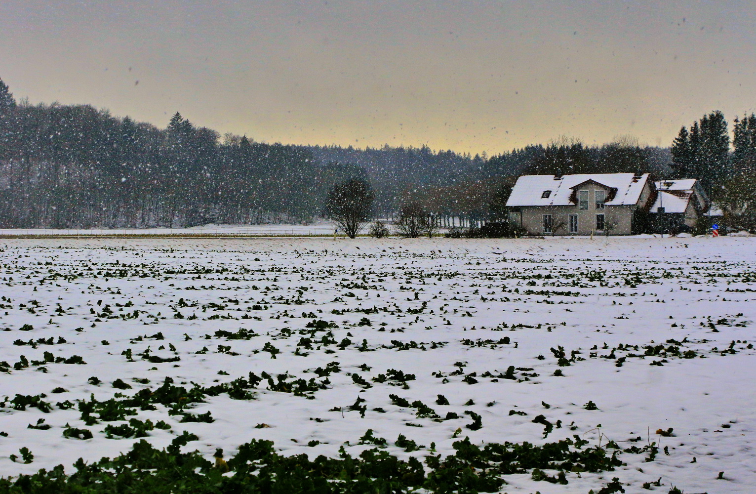 Schnee-Sauwetter Foto & Bild | architektur, jahreszeiten, winter Bilder auf fotocommunity