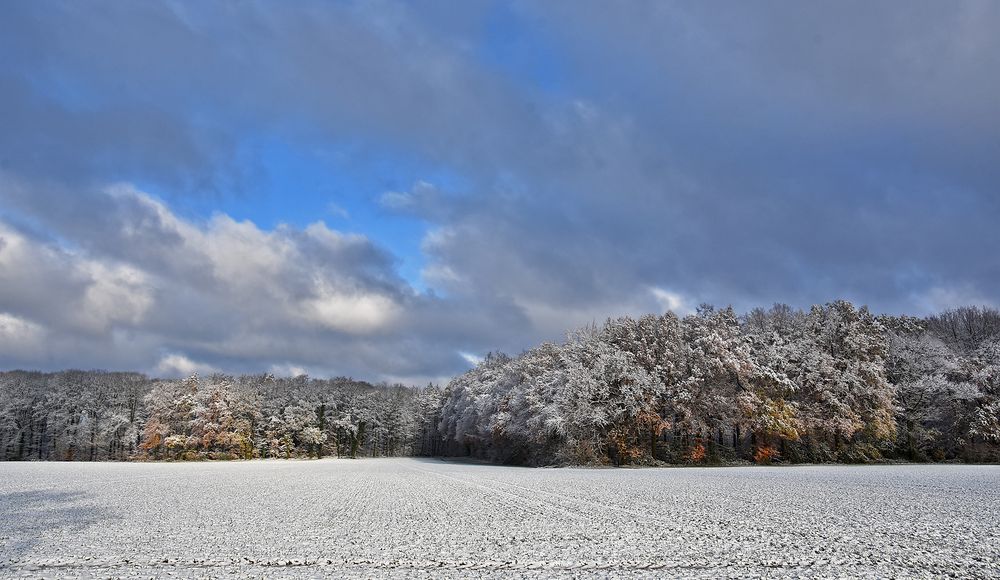 Schnee von gestern :-) Foto & Bild | deutschland, europe, nordrhein- westfalen Bilder auf ...