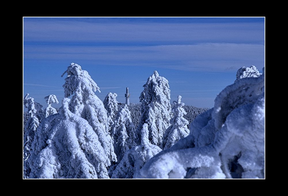 - Schneebergblick - Foto & Bild | landschaft, jahreszeiten, winter Bilder auf fotocommunity