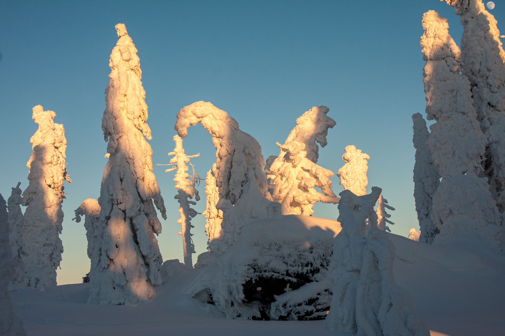 "Schneemandl" im Bayerischen Wald Foto & Bild | winter, natur ...
