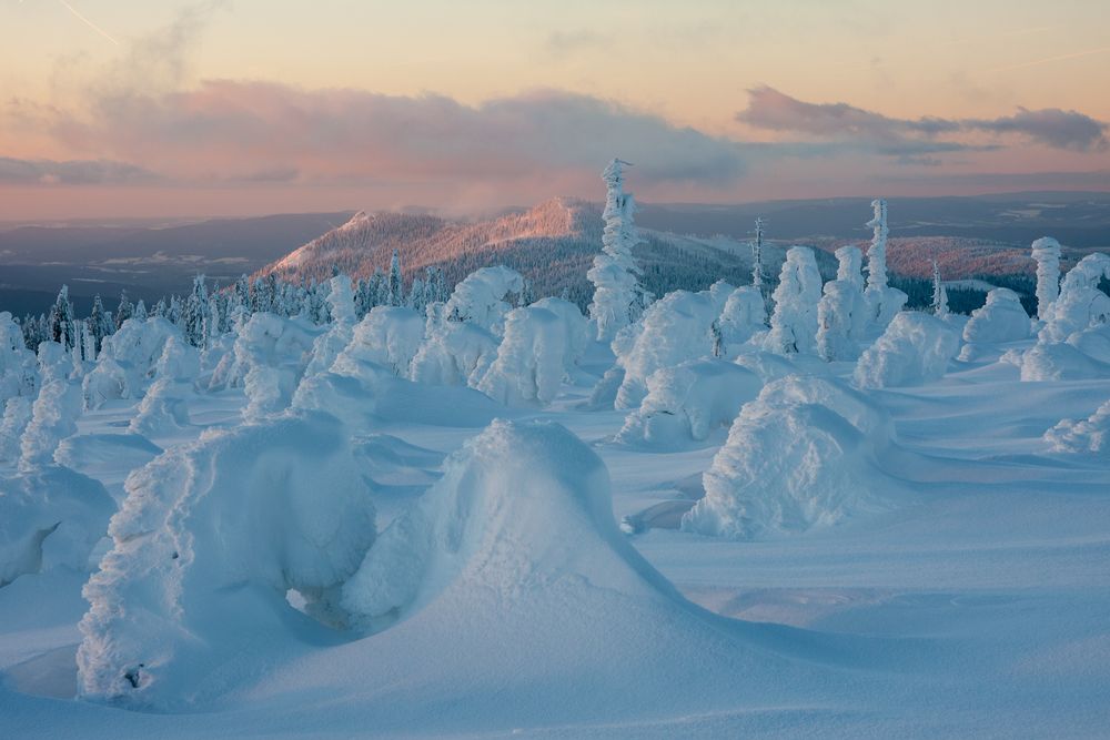 "Schneemandl" im Bayerischen Wald Foto & Bild | winter, natur ...