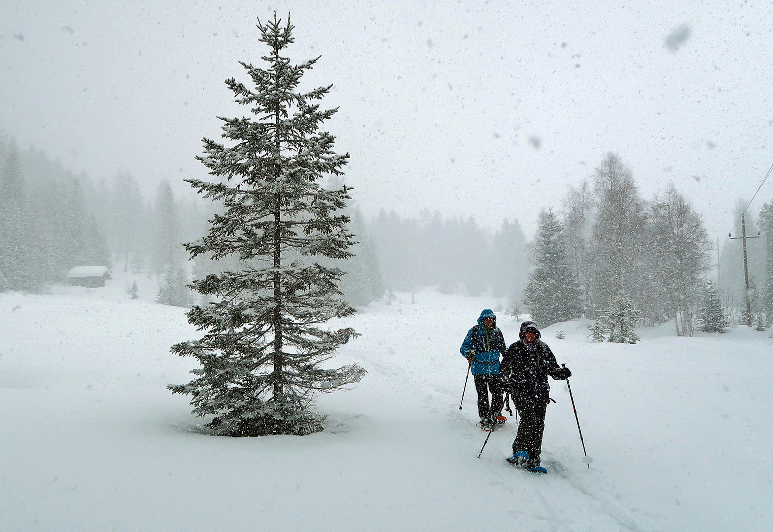 Schneeschuhwandern Foto & Bild | landschaft, jahreszeiten, winter Bilder auf fotocommunity