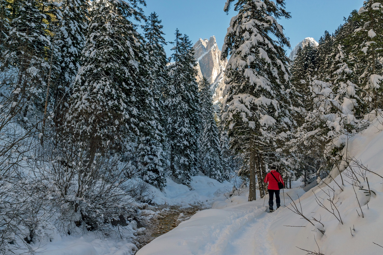 Schneeschuhwandern Foto & Bild | winter, schnee, natur Bilder auf fotocommunity