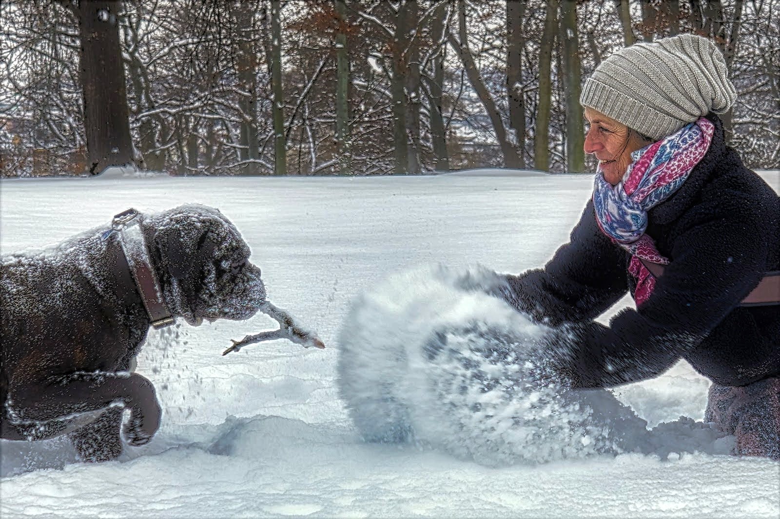 Schneespass Foto & Bild | erwachsene menschen, tiere, haustiere Bilder auf fotocommunity