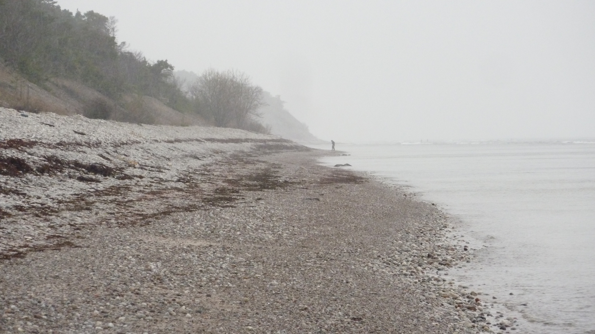 Schneesturm auf Gotland Foto & Bild | jahreszeiten, herbst, schnee ...