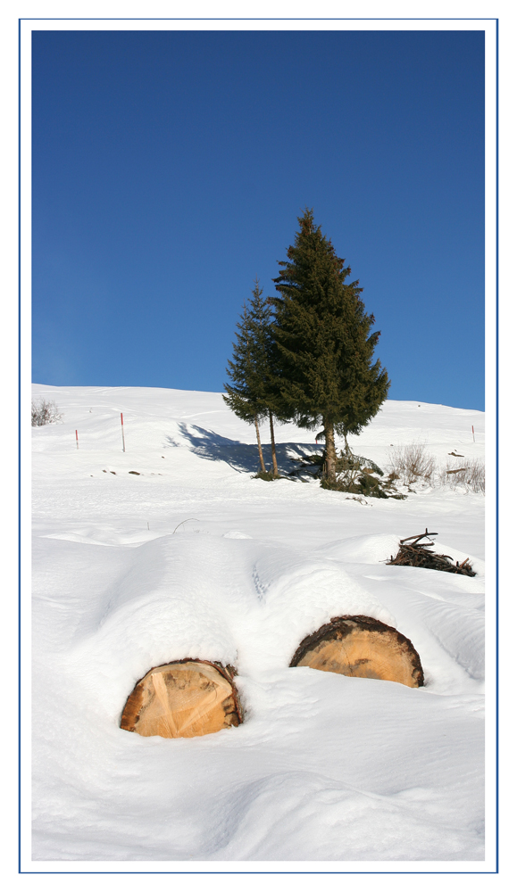 Schneetraum Foto & Bild | jahreszeiten, winter, natur Bilder auf fotocommunity