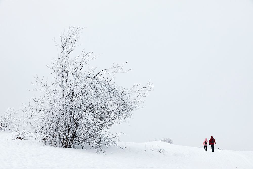 Schneewanderung Foto & Bild | deutschland, europe, hessen Bilder auf ...