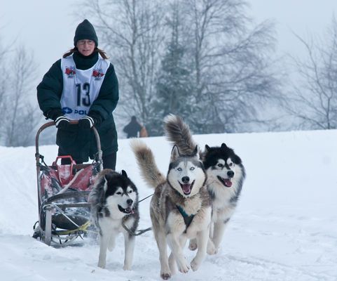Michael Meinert - Fotos & Bilder - Fotograf aus judenbach, Deutschland ...