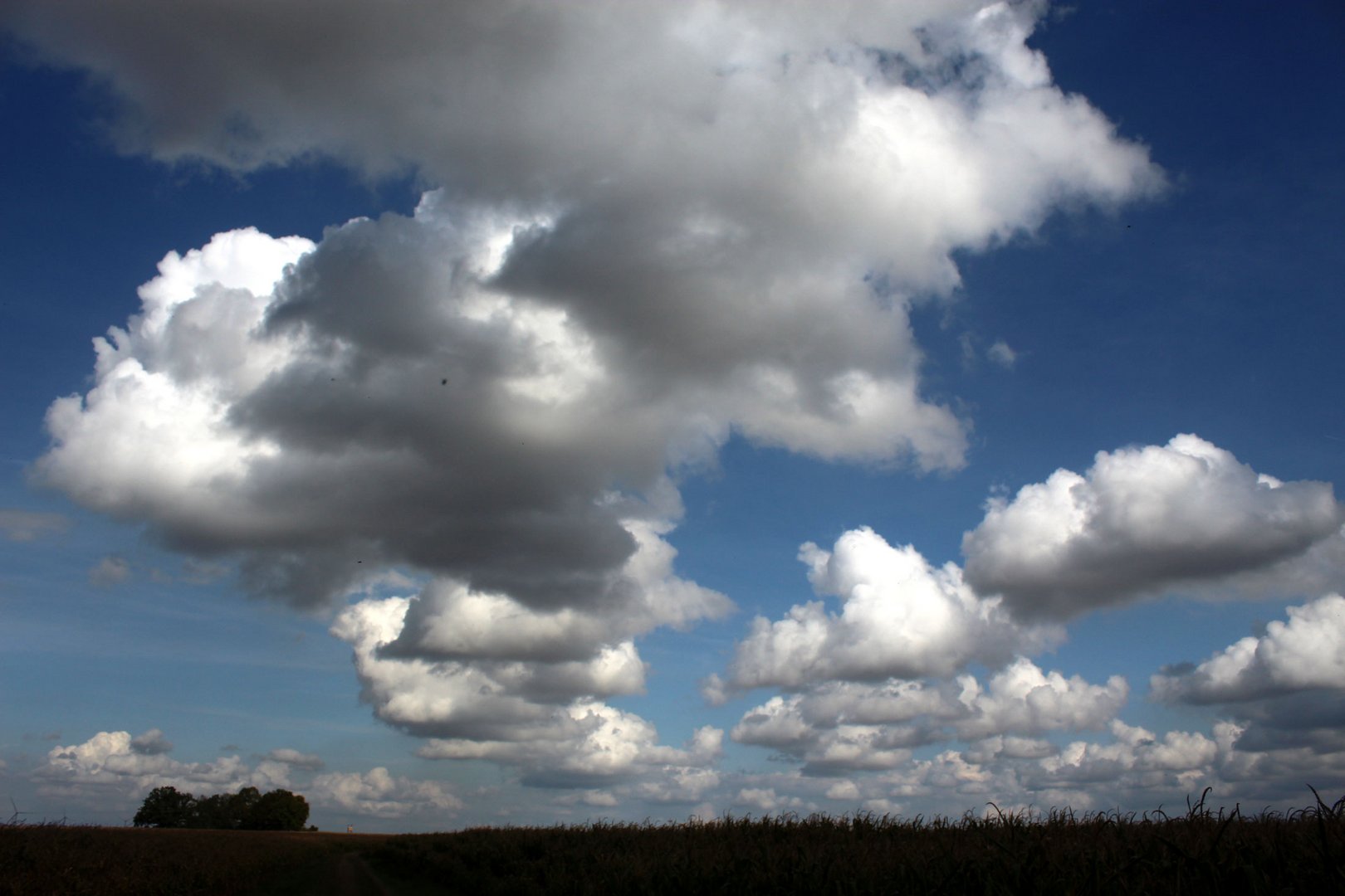 schön in Reih und Glied Foto & Bild | landschaften, wolken, himmel ...