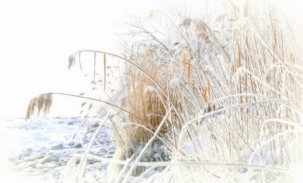 schön kalt Foto & Bild | art, spezial, winter Bilder auf fotocommunity