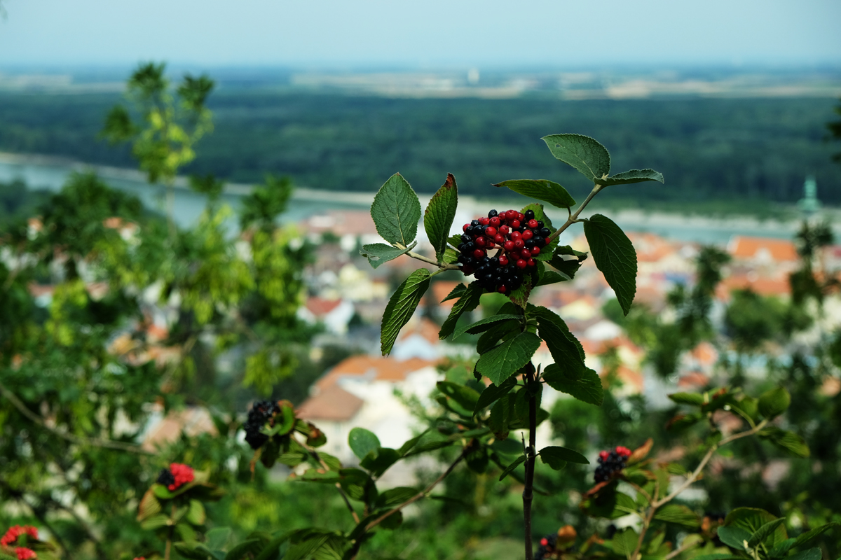 schöne Blicke Foto & Bild | landschaft, jahreszeiten, sommer Bilder auf ...