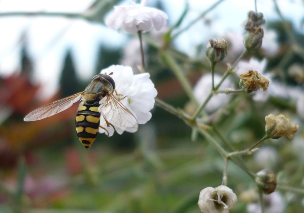 Schöner Rücken kann auch entzücken Foto & Bild | otti, natur Bilder auf ...