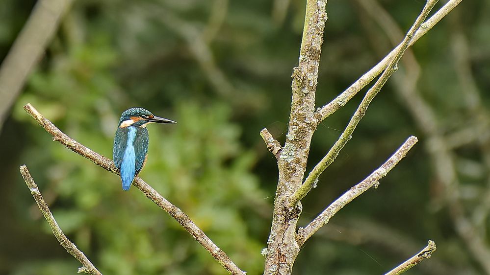 schöner rücken zum entzücken Foto & Bild | dokumentation, natur ...