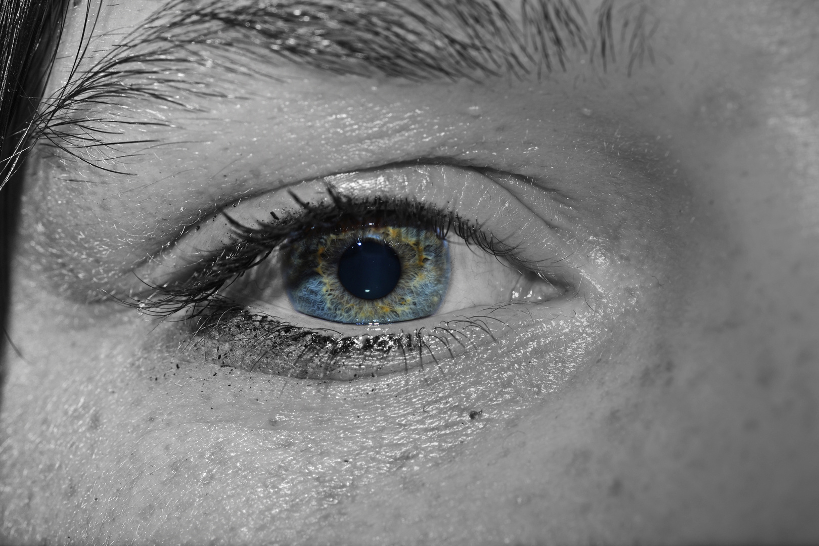 Schönheit im Detail - Auge im Makro Foto & Bild | portrait, portrait ... Schönheit im Detail - Auge im Makro Foto & Bild | portrait, portrait ...