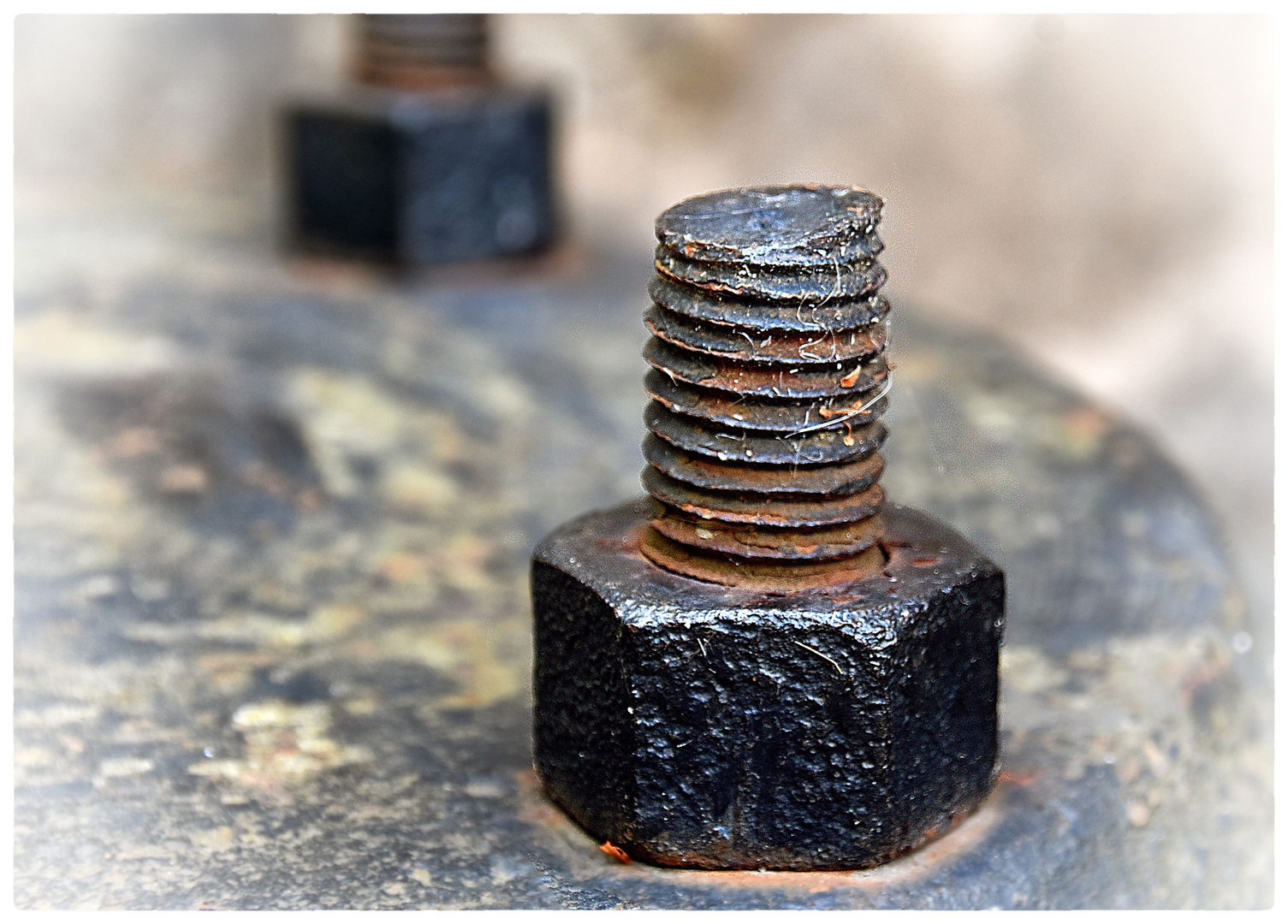 Schraube und Mutter Foto & Bild | spezial, projekte, mittwochsmutter ...