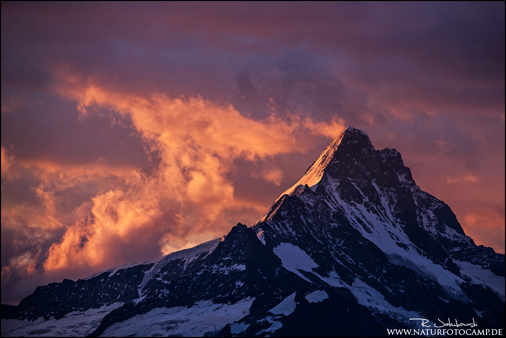 Schreckhorn Foto & Bild | landschaft, berge, gipfel und grate Bilder ...