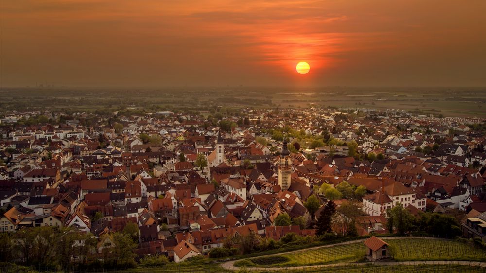 Schriesheim. Foto & Bild | sonnenuntergang, panorama, natur Bilder auf ...