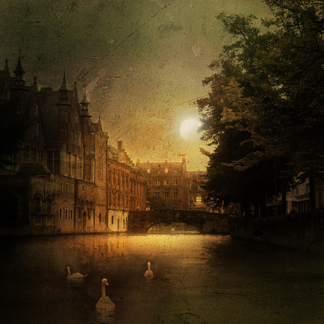 Schwanensee Foto & Bild | fotomontage, composing , composing Bilder auf fotocommunity