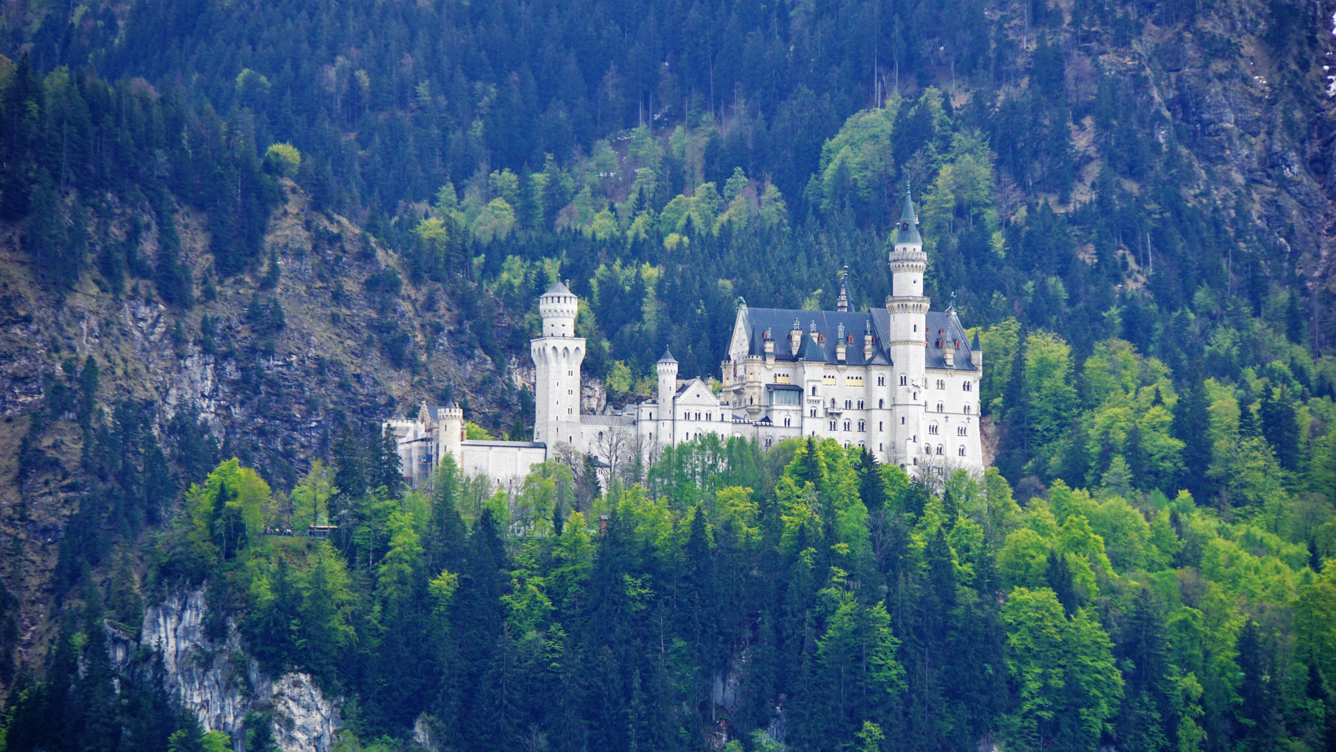 Schwangau Schloss Neuschwanstein Foto & Bild | fotos, outdoor, frühling ...