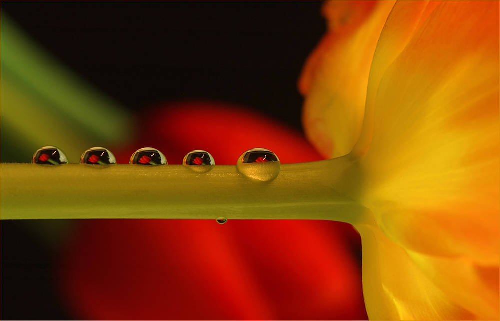 Schwarz Rot Gold Foto & Bild | experimente, gespiegelt, spezial Bilder ...