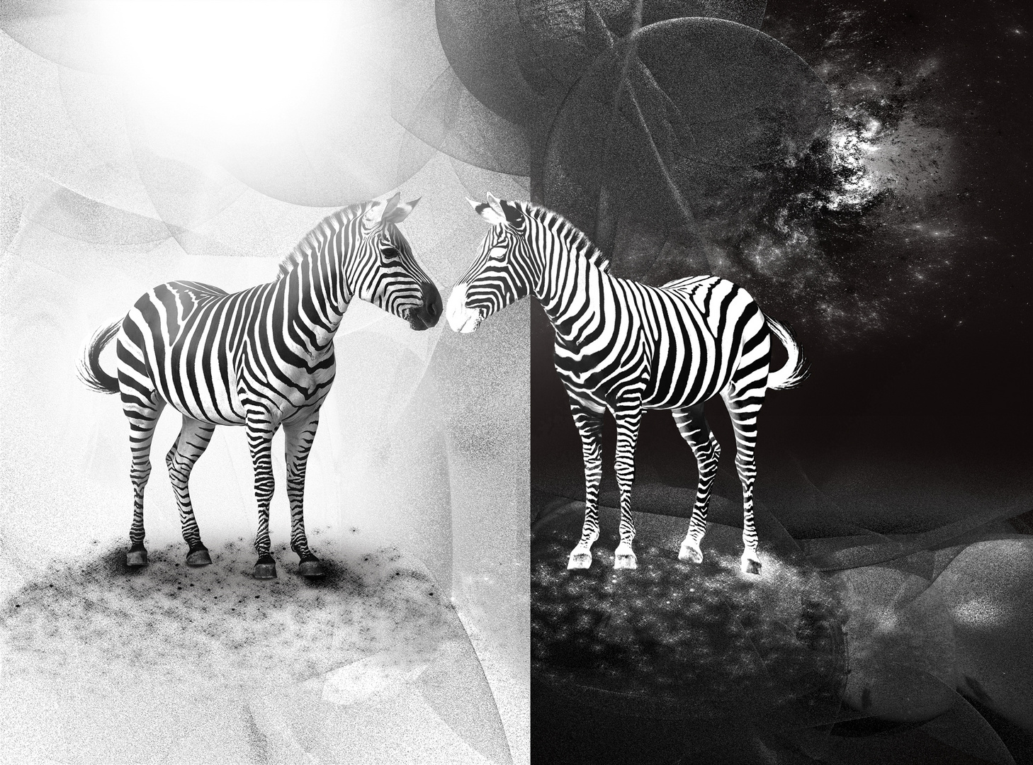 schwarz weiß malerei Foto & Bild | monochrom, bearbeitungs - techniken, filtertechniken Bilder ...