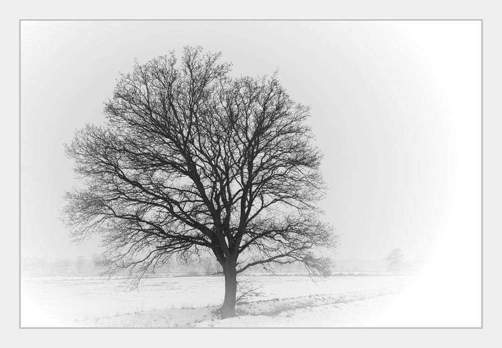 Schwarz-weißer Freitag Foto & Bild | world, kalt, winter Bilder auf ...