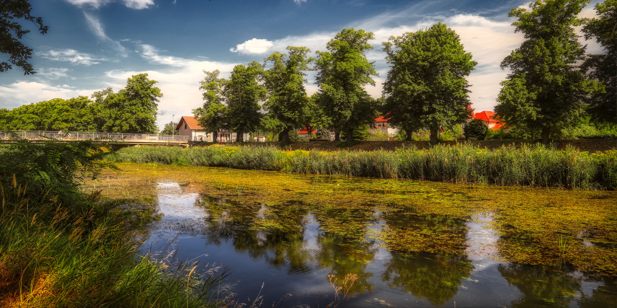 Schwarze Elster bei Bad Liebenwerda Foto & Bild | deutschland, europe ...