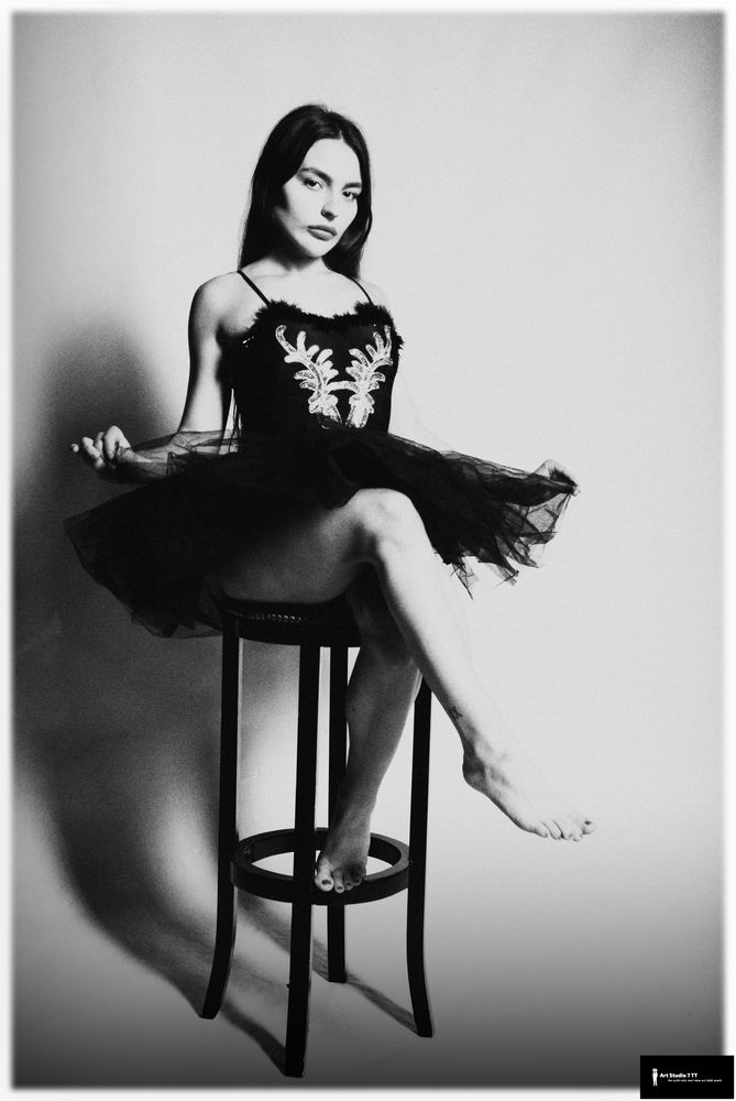 schwarzer schwan Foto & Bild | fotos, studio, indoor Bilder auf ...