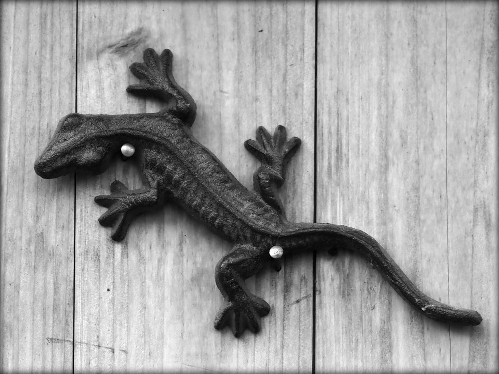 Schwarzweißer Freitag Foto & Bild | projekte, monochrom, bearbeitungs - techniken Bilder auf ...