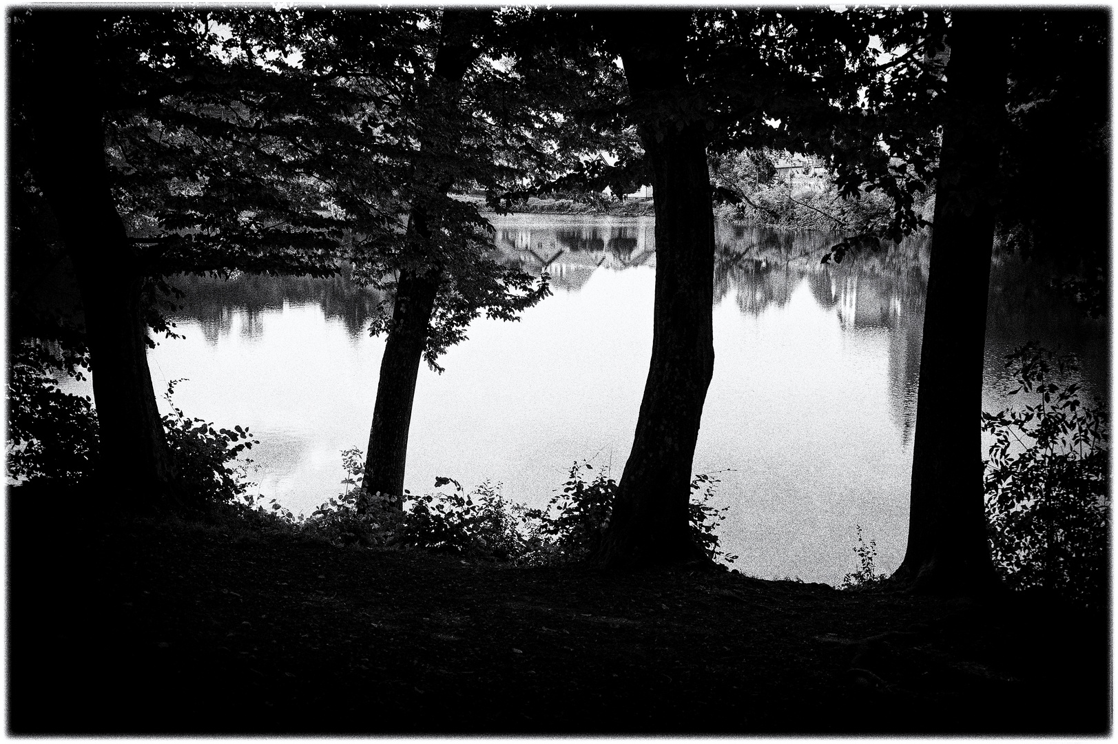 schwarzweißer Freitag - die Welt steht Kopf Foto & Bild | monochrom, deutschland, eifel Bilder ...