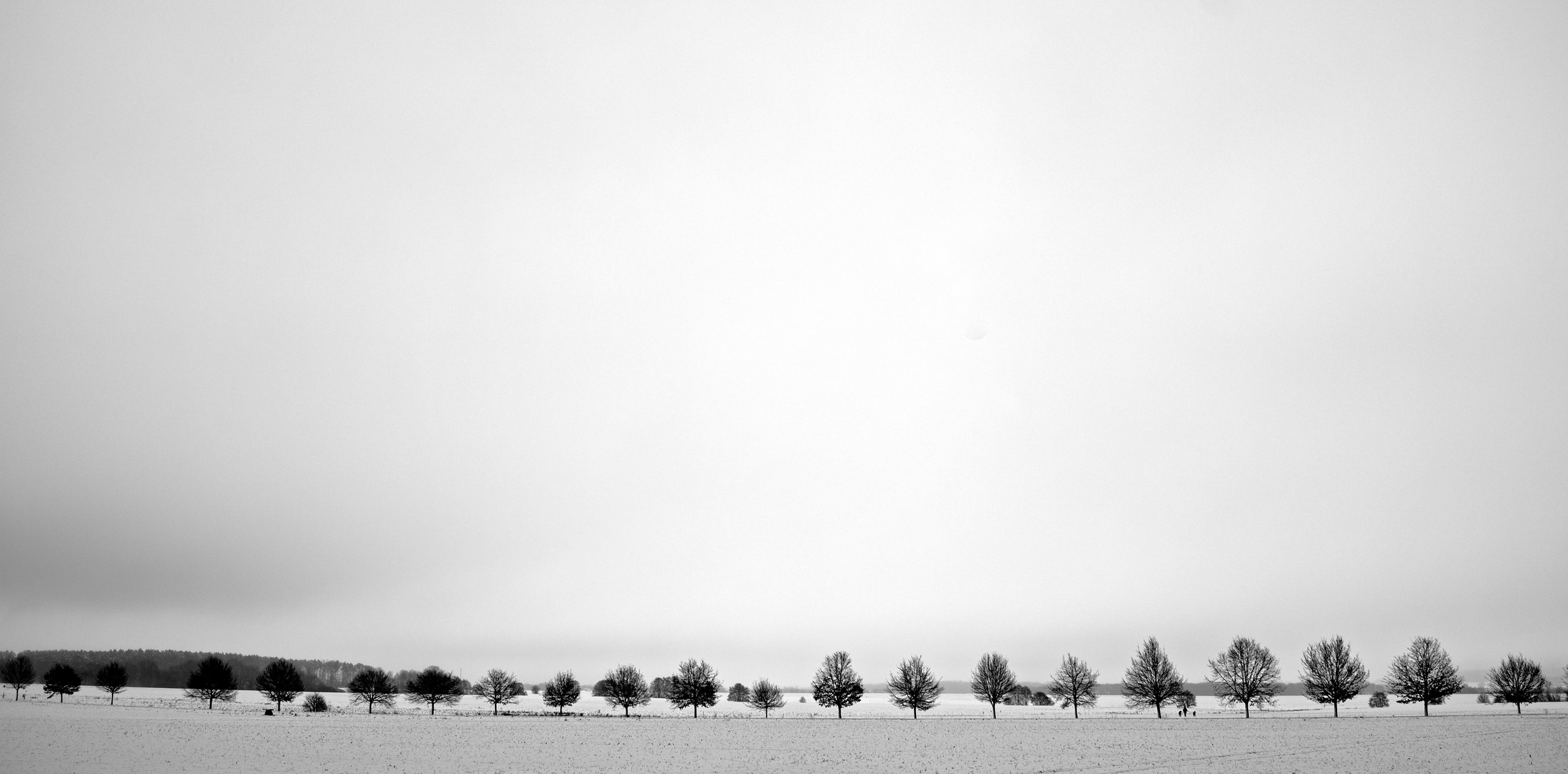 Schwarzweißer Freitag: Winterbild reloaded Foto & Bild | landschaft ...