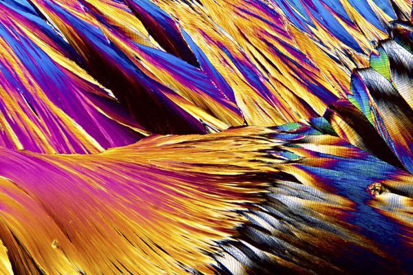 Peter Woitschikowski - Fotos & Bilder - Fotograf aus Gütersloh ...