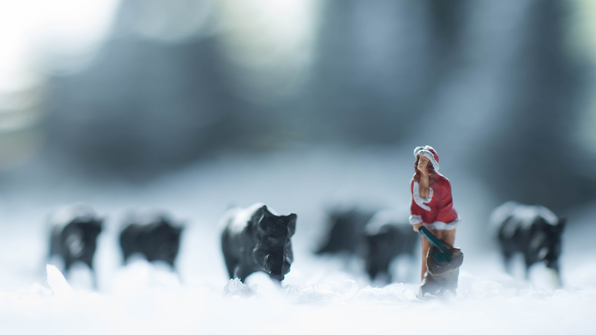 Schweinkram Foto & Bild | stillleben, kunstfotografie & kultur, gratulation und feiertage Bilder ...