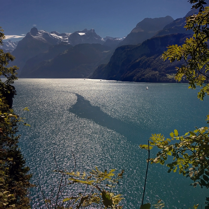 Schweizer See Foto & Bild | europe, schweiz & liechtenstein, kt. schwyz ...