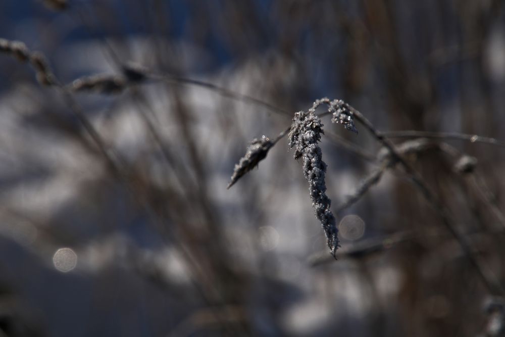 Schwere Last Foto & Bild | dokumentation, outdoor, natur Bilder auf fotocommunity