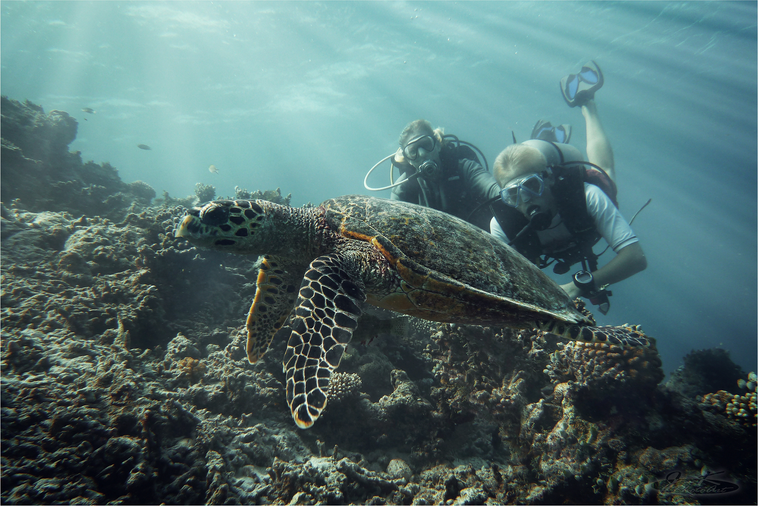 * schwerelos * Foto & Bild | world, dokumentation, natur Bilder auf ...