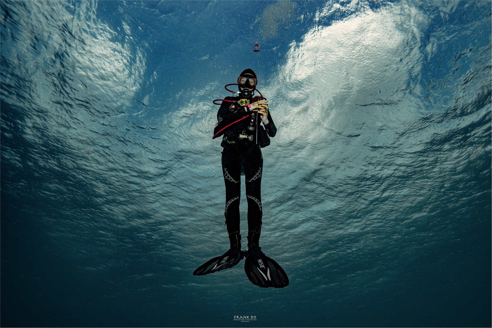 " Schwerelos " Foto & Bild | unterwasser, uw-salzwasser, natur-kreativ ...