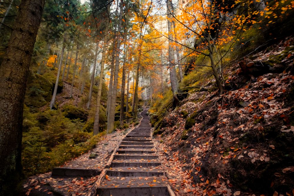 Schwerer Aufstieg Foto & Bild | landschaft, jahreszeiten, herbst Bilder auf fotocommunity