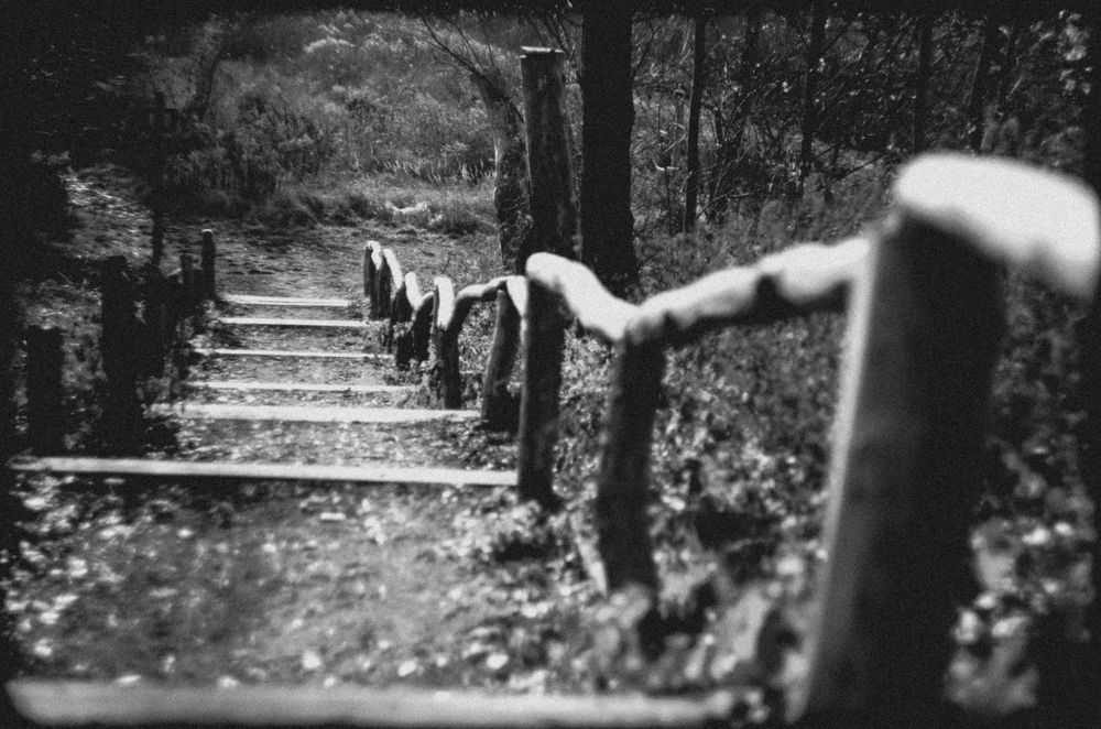 "Schwierige Wege Foto & Bild | spezial, weg, sw Bilder auf fotocommunity