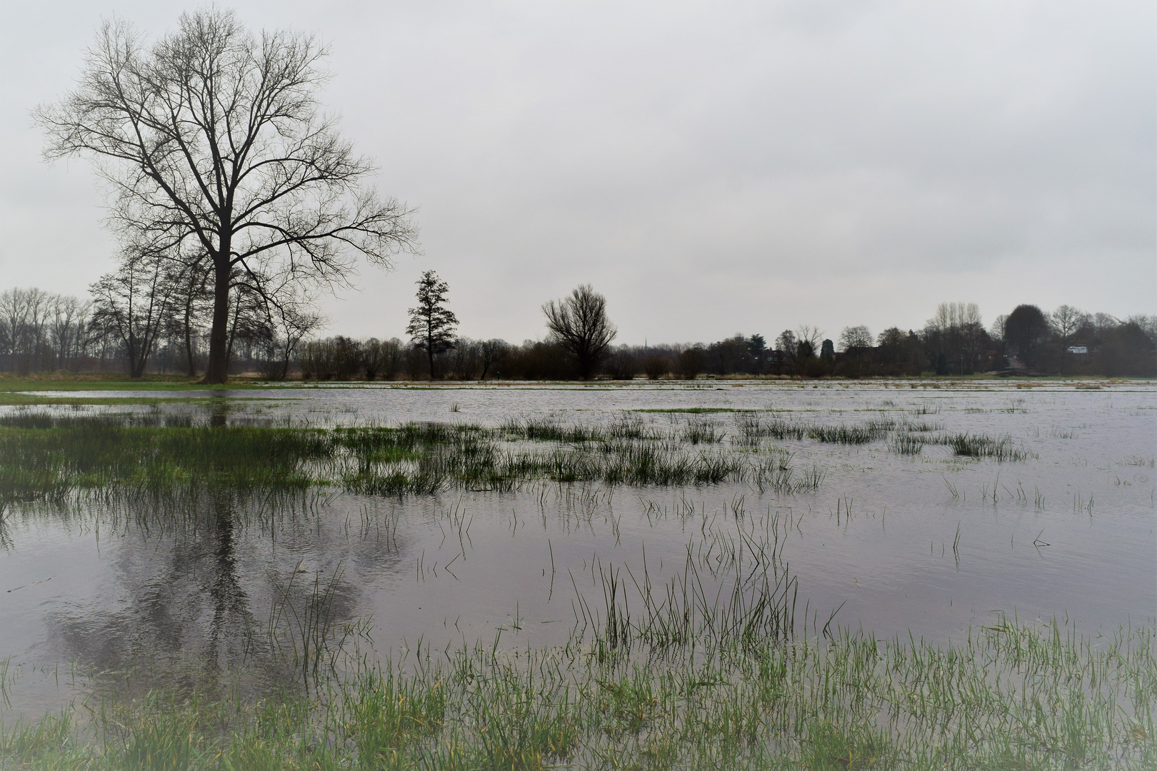 Schwinge Foto & Bild | deutschland, europe, niedersachsen Bilder auf ...
